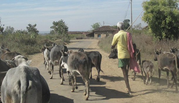 Students of IIM Indore experience Rural India - 4th Rural Immersion ...