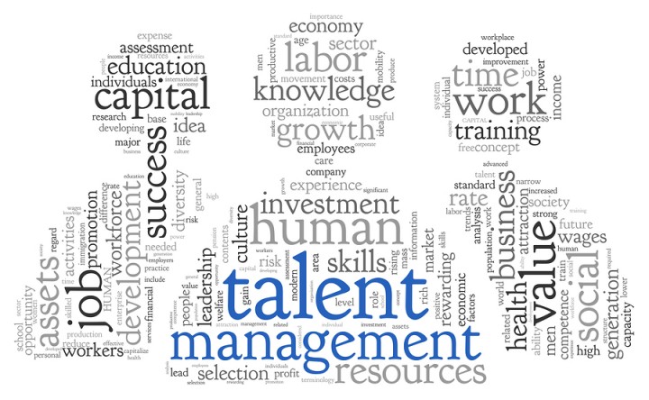 The Importance of 'Talent' in an organization - InsideIIM