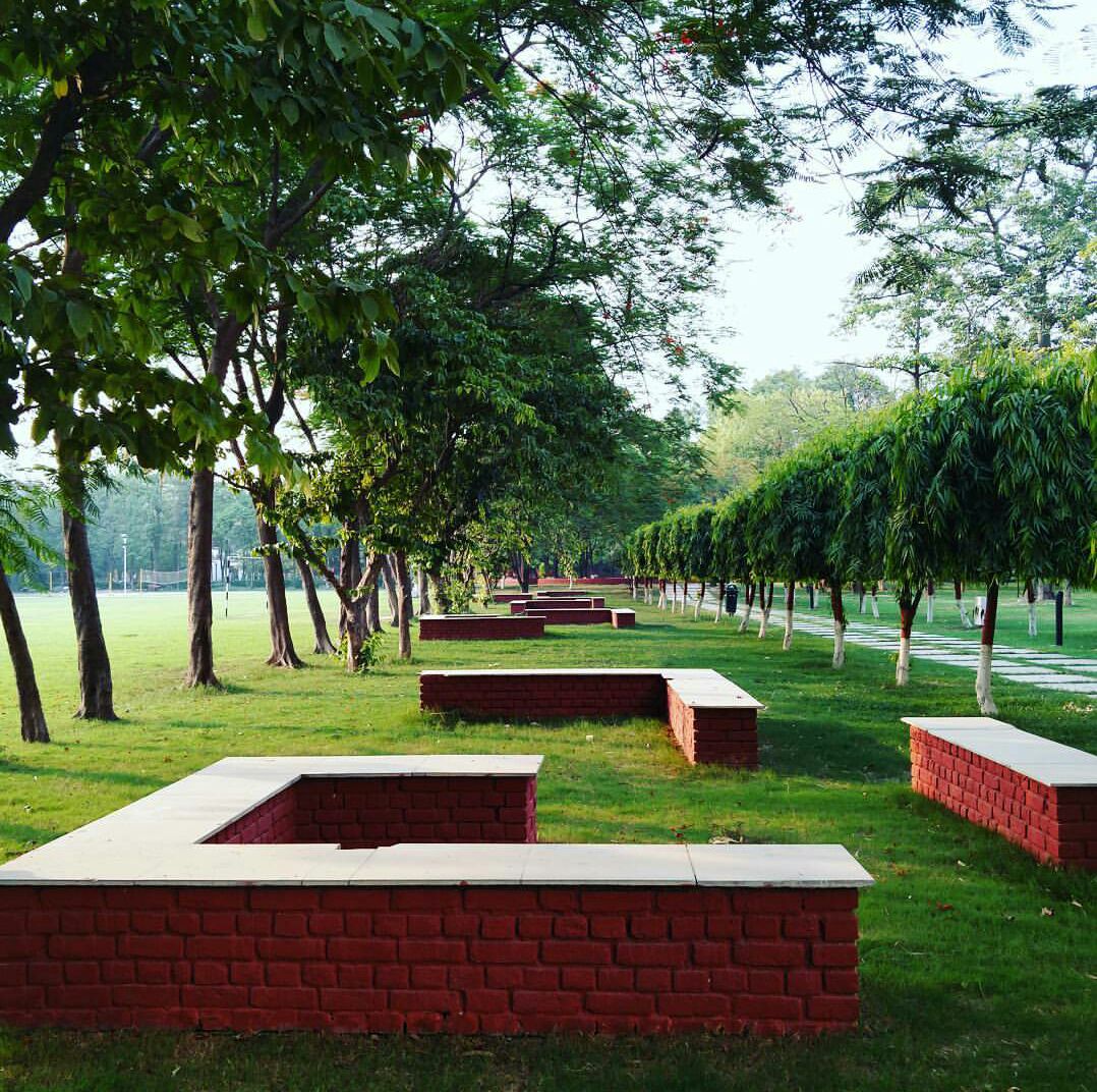 Decoding The Average Package Placements And More InsideIIM