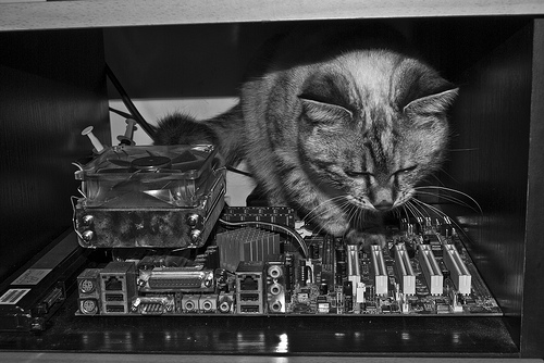 CAT Is Biased In Favour Of Engineers - GD Monday - InsideIIM